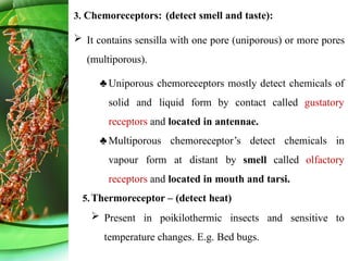 *"Sensing the World: Insect Sensory Systems"* | PPTX