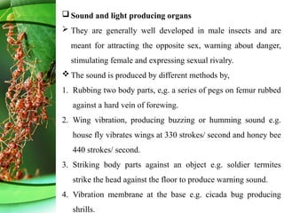 *"Sensing the World: Insect Sensory Systems"* | PPTX
