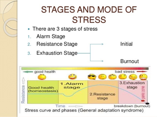 What Are The Four Stages Of Stress - Design Talk