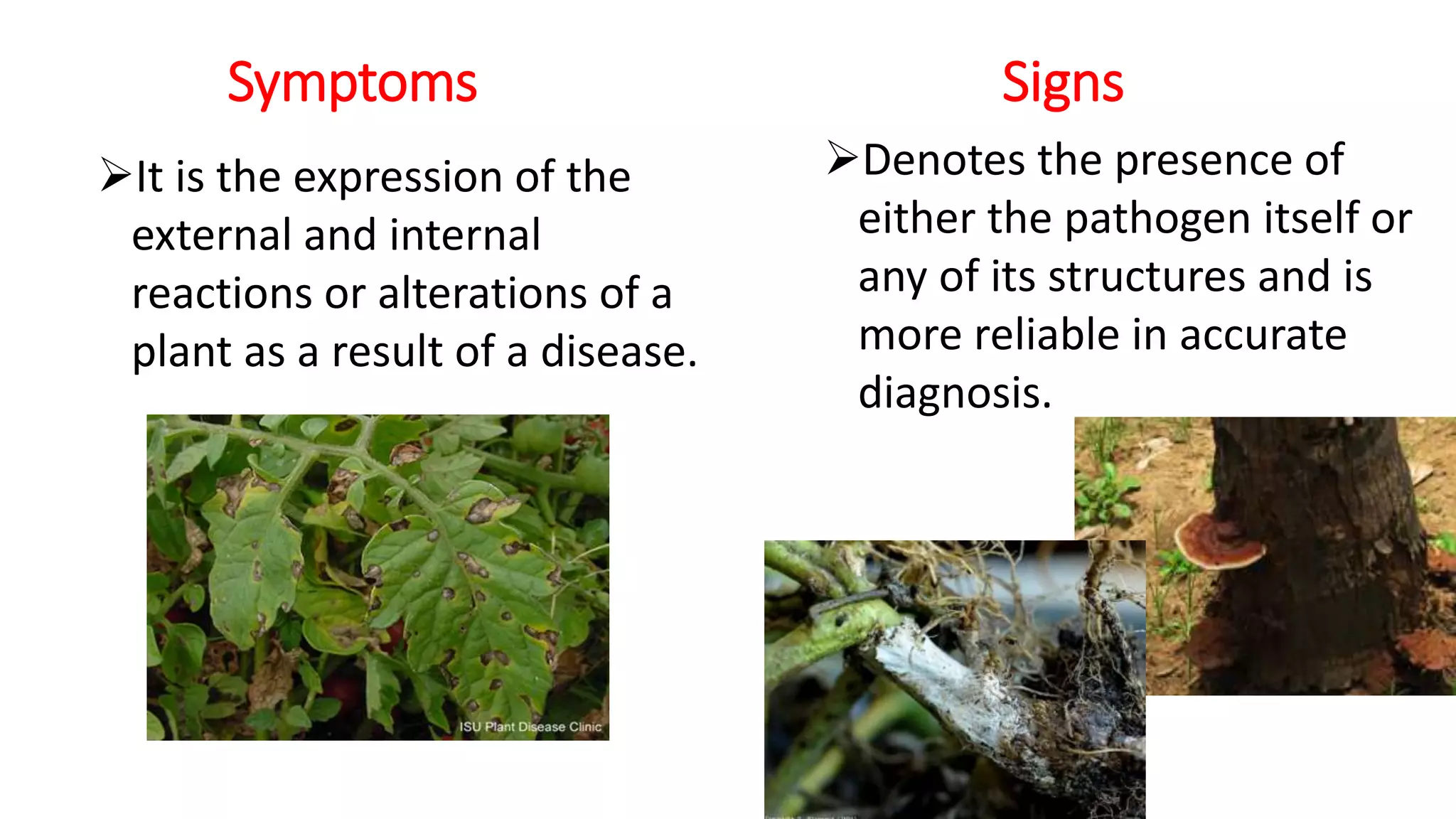 Major symptoms of plant diseases.pptx