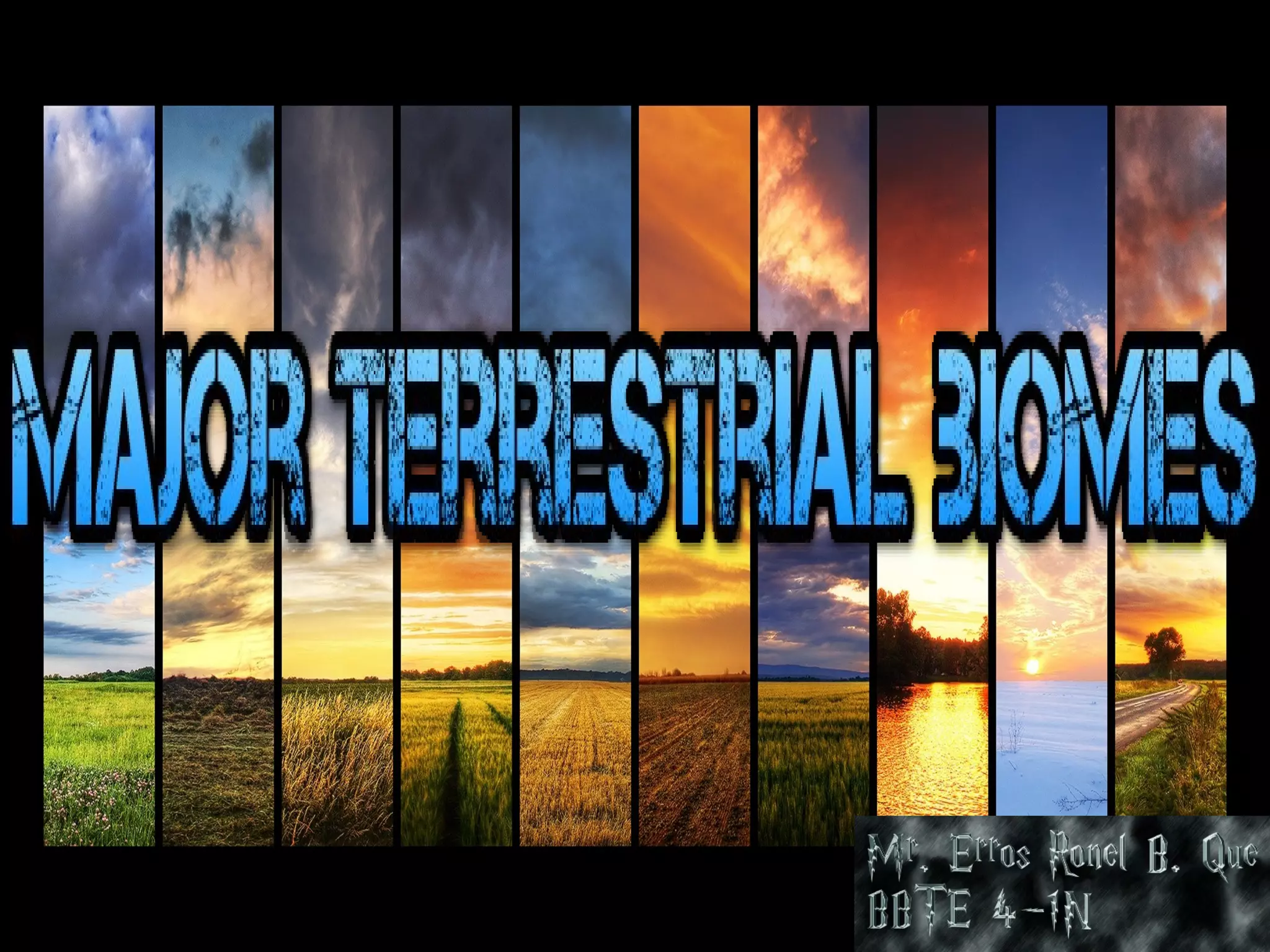 Major terrestrial biomes | PPT