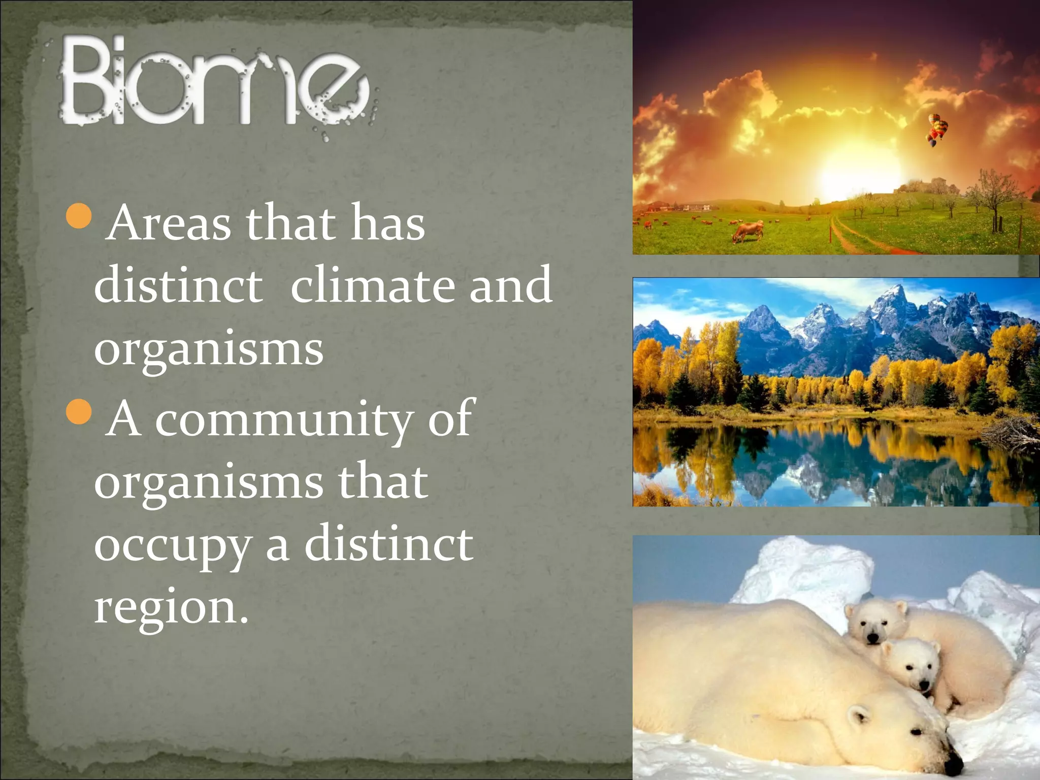 Major terrestrial biomes | PPT