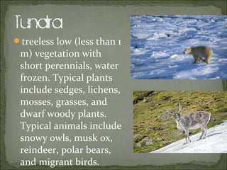 Major terrestrial biomes | PPT