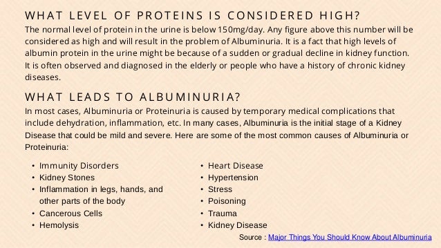 Major Things You Should Know About Albuminuria | PPTX