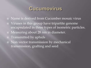 Major group of plant viruses | PPT