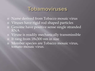 Major group of plant viruses | PPT