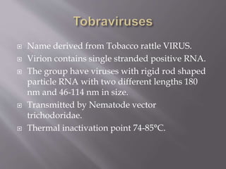 Major group of plant viruses | PPT