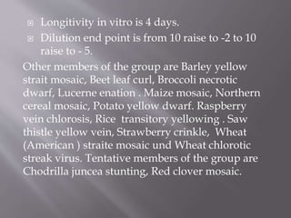 Major group of plant viruses | PPT