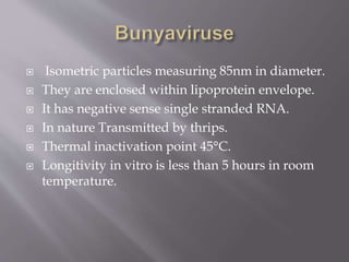 Major group of plant viruses | PPT