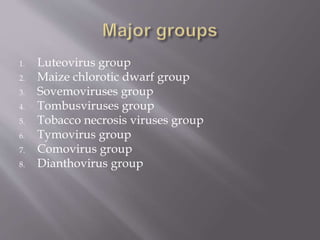 Major group of plant viruses | PPT