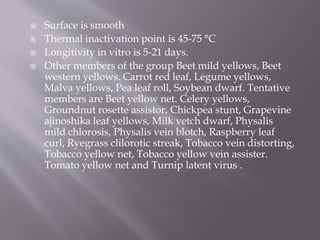 Major group of plant viruses | PPT