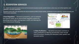 HhhhhhhhhhMAJOR TRESTERIAL ECOSYSTEM.pdf