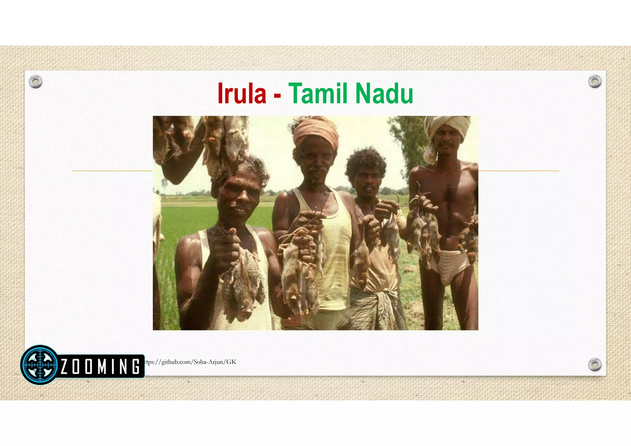 Major tribes of india | PDF