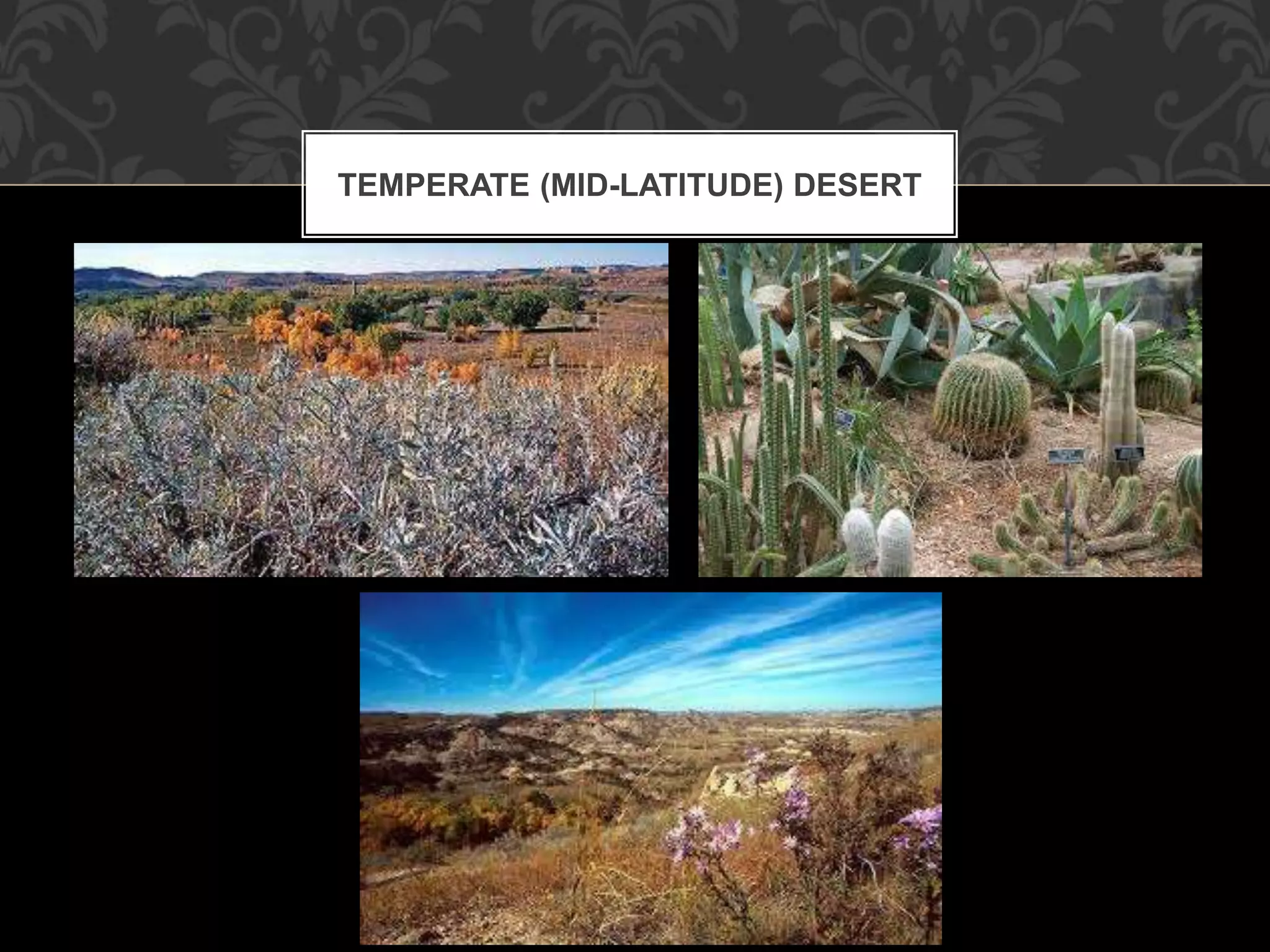 Major types of ecosystem | PPTX