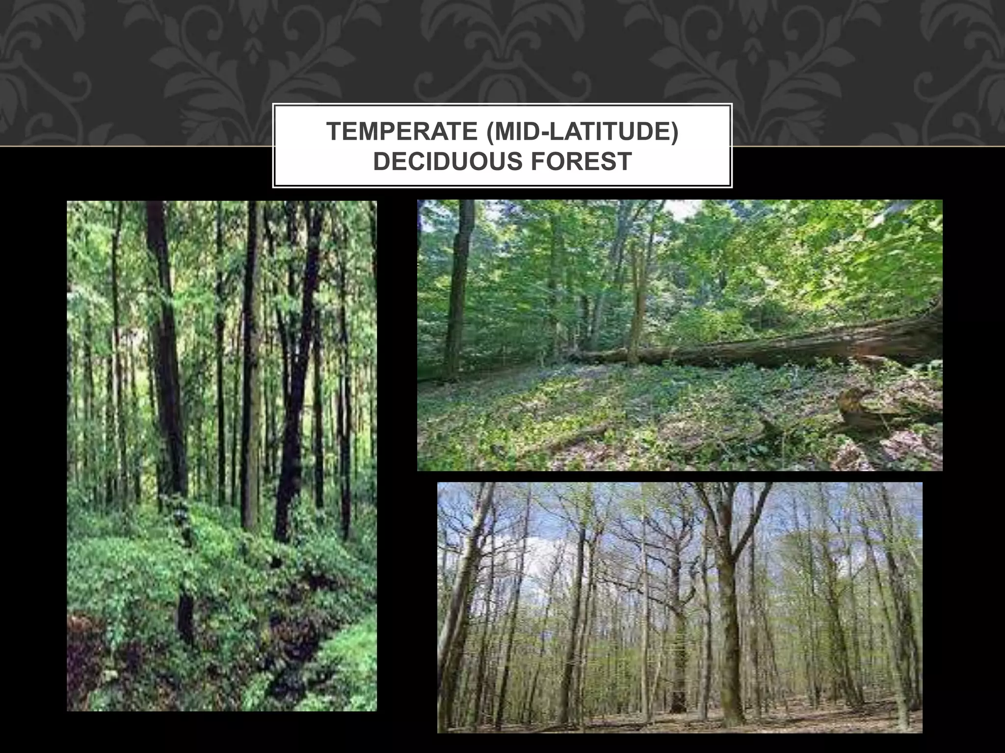 Major types of ecosystem | PPTX