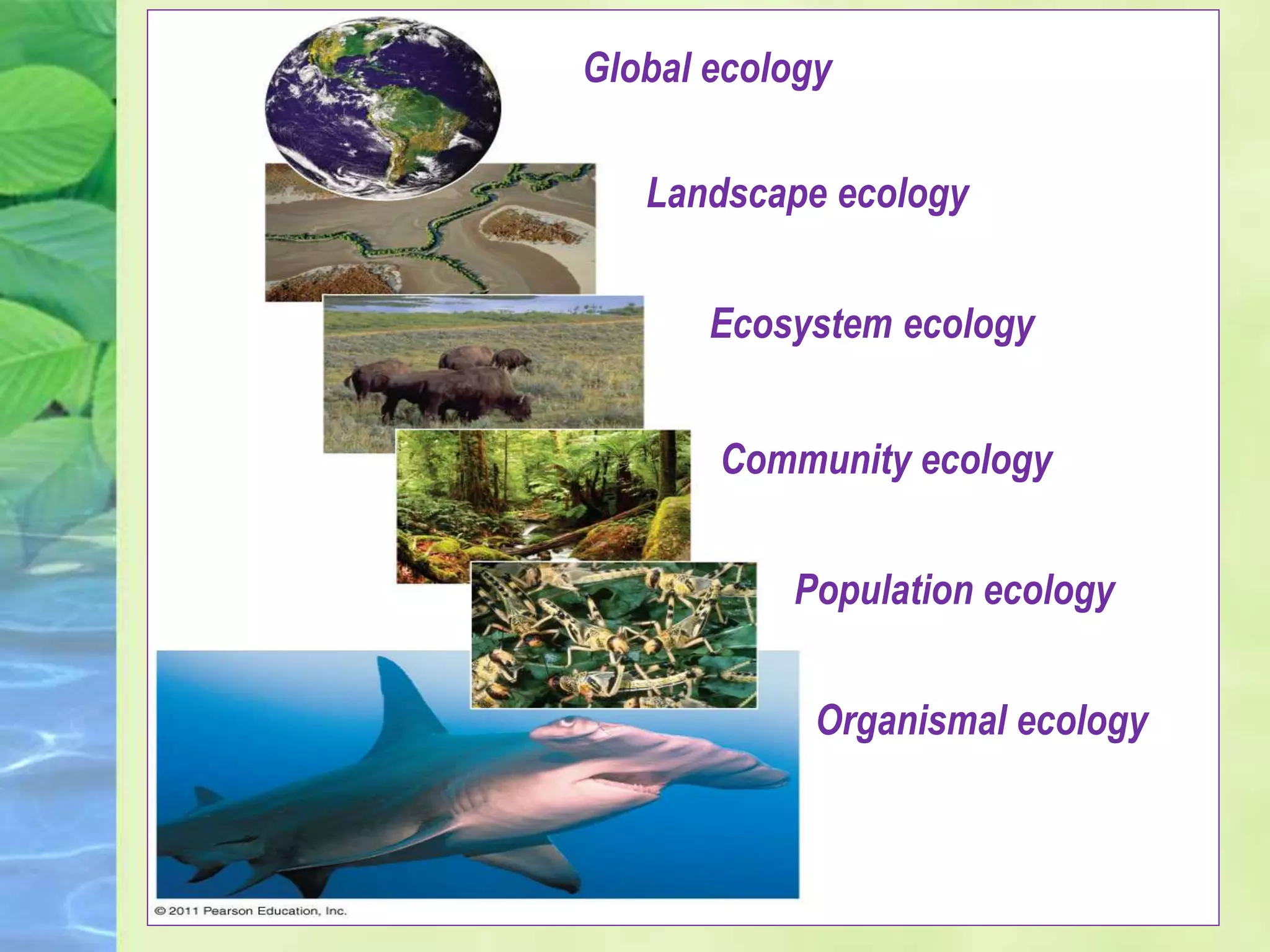 Major types of ecosystem | PPTX