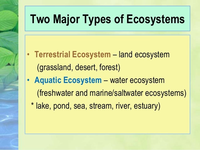 Major types of ecosystem