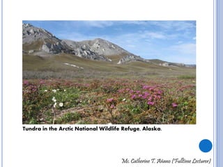 Major types of ecosystems | PPTX