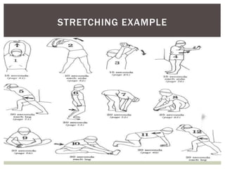 Major types of physical exercise | PPTX