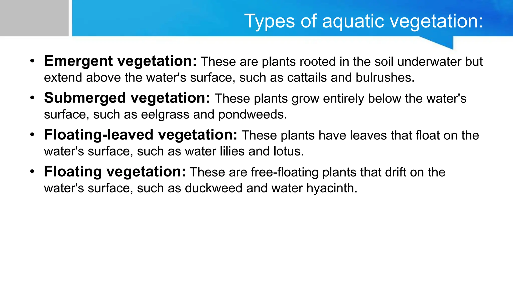 MAJOR VEGETATION TYPES OF THE WORLD.pptx