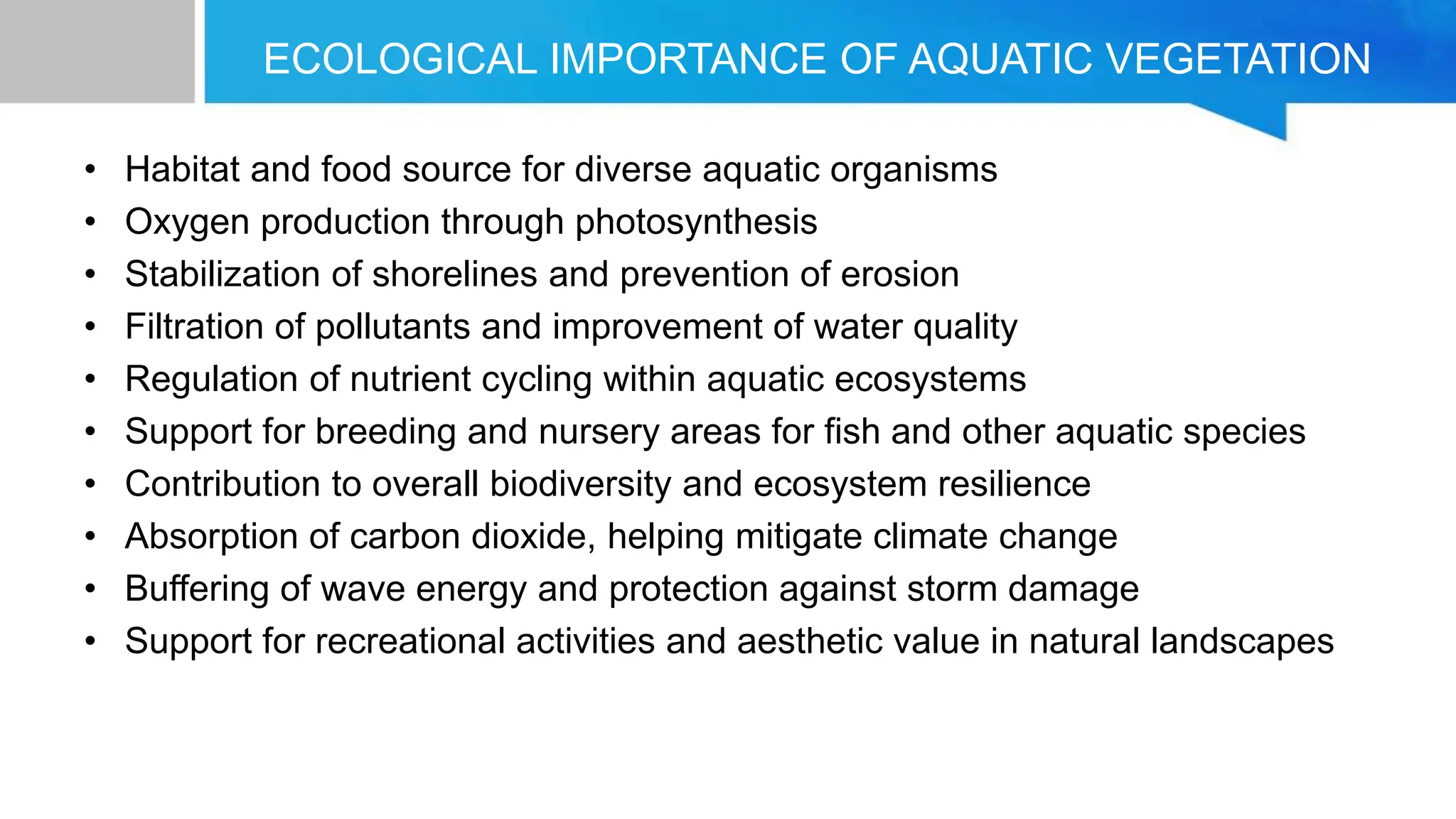 MAJOR VEGETATION TYPES OF THE WORLD.pptx