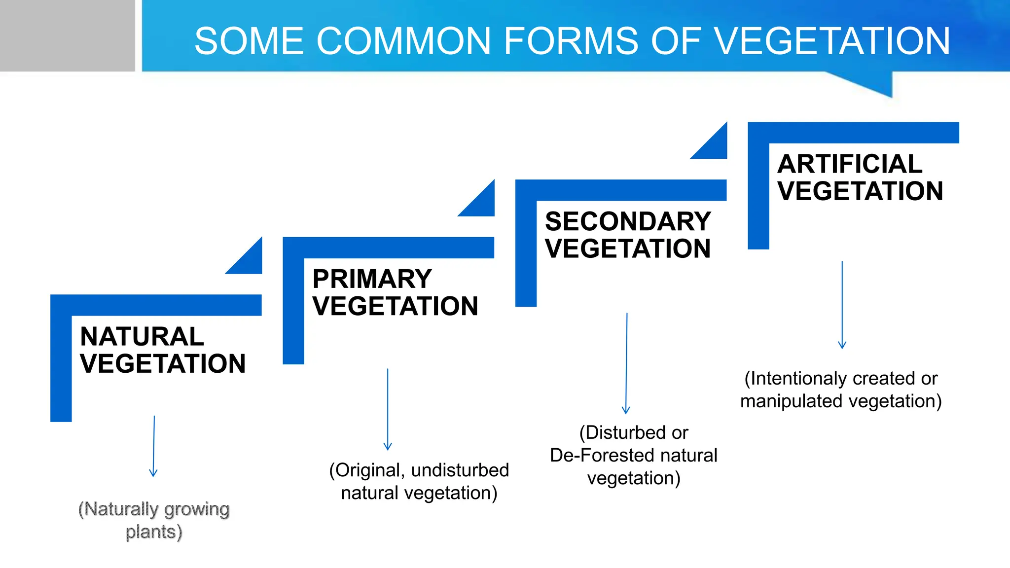 MAJOR VEGETATION TYPES OF THE WORLD.pptx