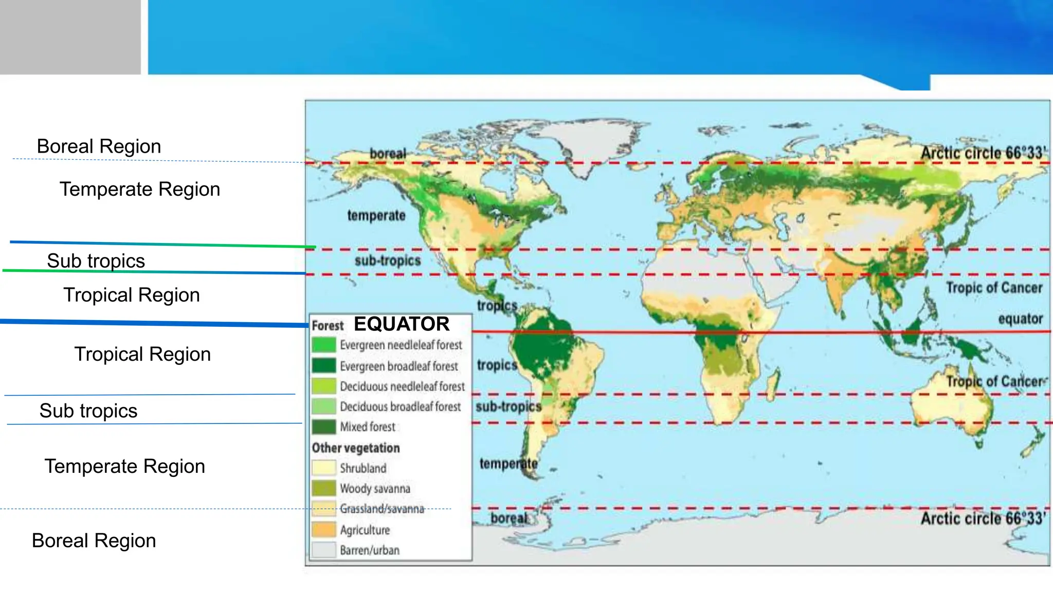 MAJOR VEGETATION TYPES OF THE WORLD.pptx