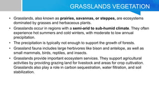 MAJOR VEGETATION TYPES OF THE WORLD.pptx