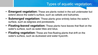 MAJOR VEGETATION TYPES OF THE WORLD.pptx