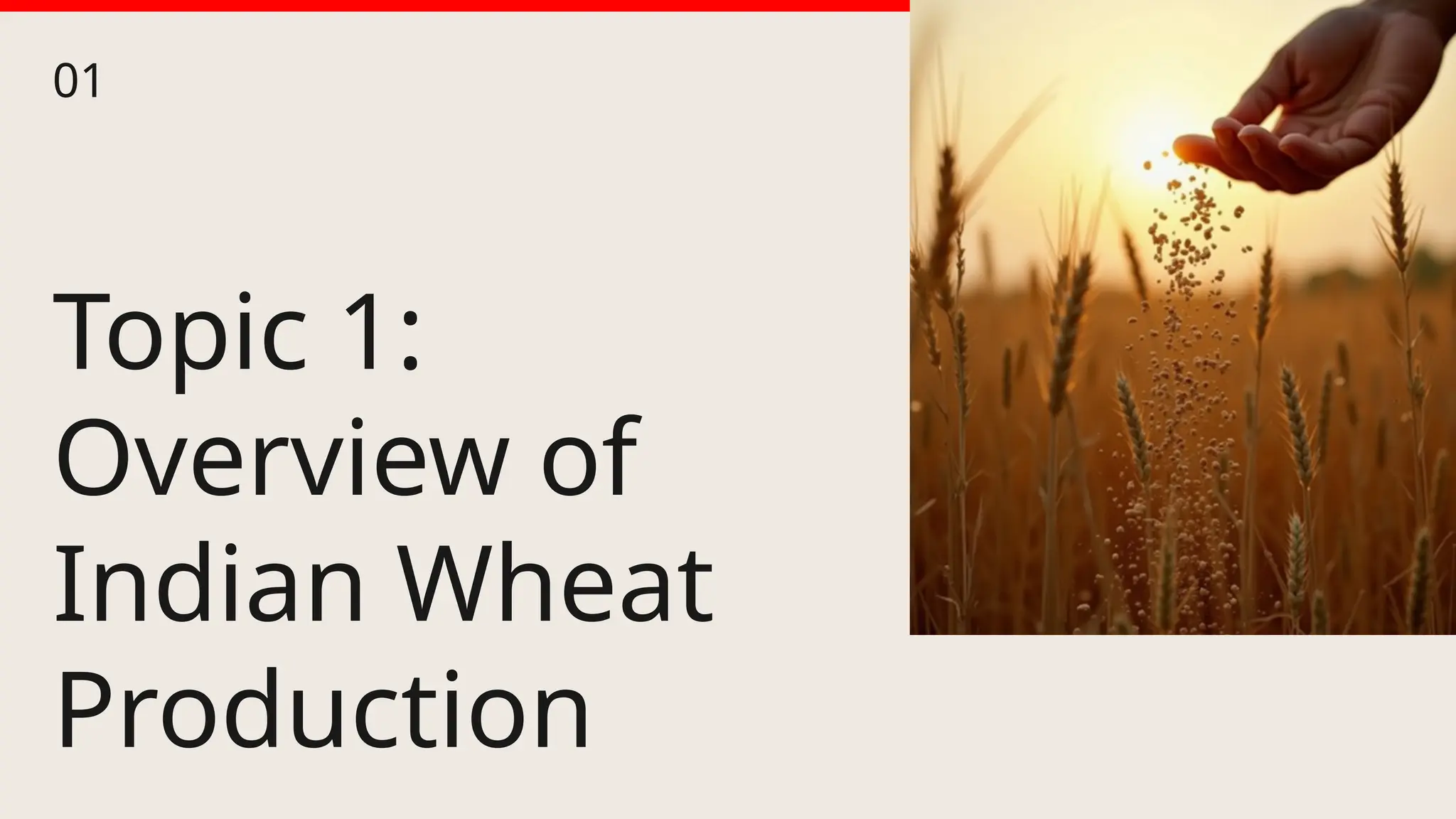 Major Wheat Producing Regions Supporting.pptx