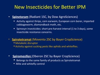 Sweet Potato Insect Pests and Other Updates for Vegetable Producers | PPT