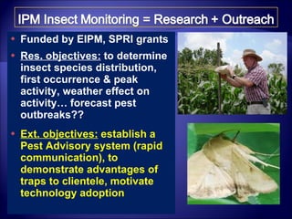 Peanut insect pests | PPT