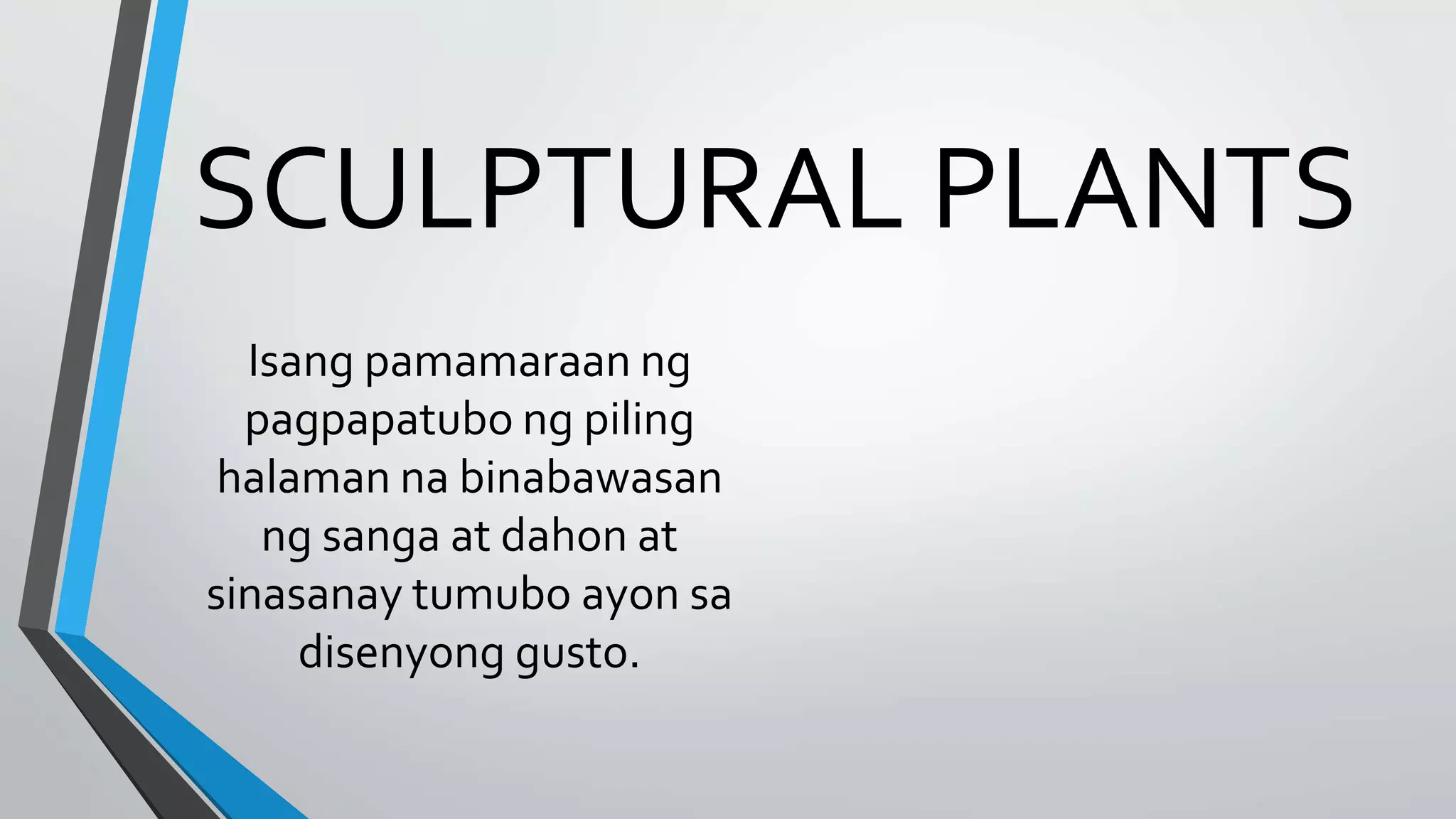 Makabagong Pag-aalaga ng Halamang Ornamental | PPTX