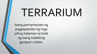 Makabagong Pag-aalaga ng Halamang Ornamental | PPTX