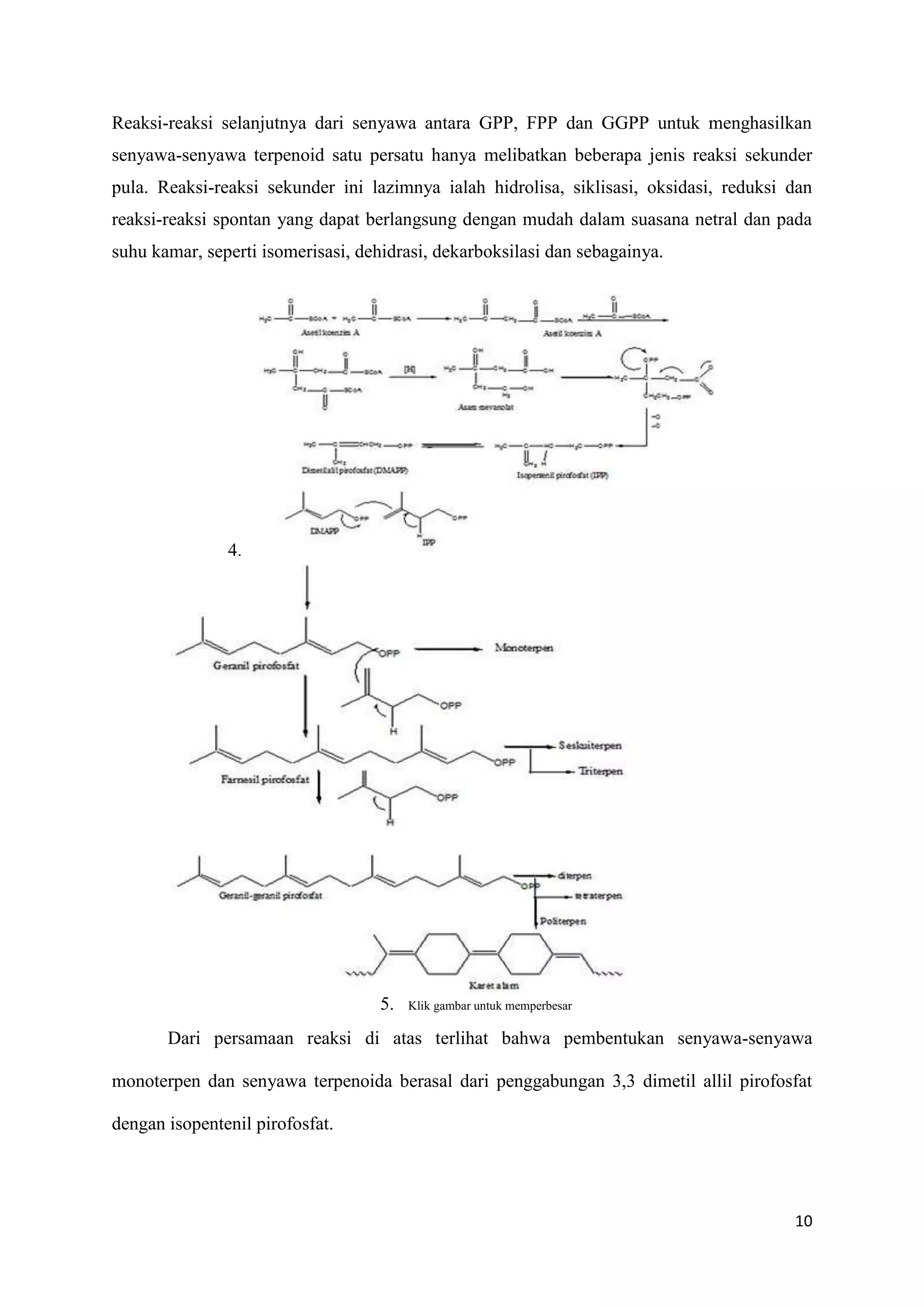 Makalah alkaloid-dan-terpenoid | DOCX