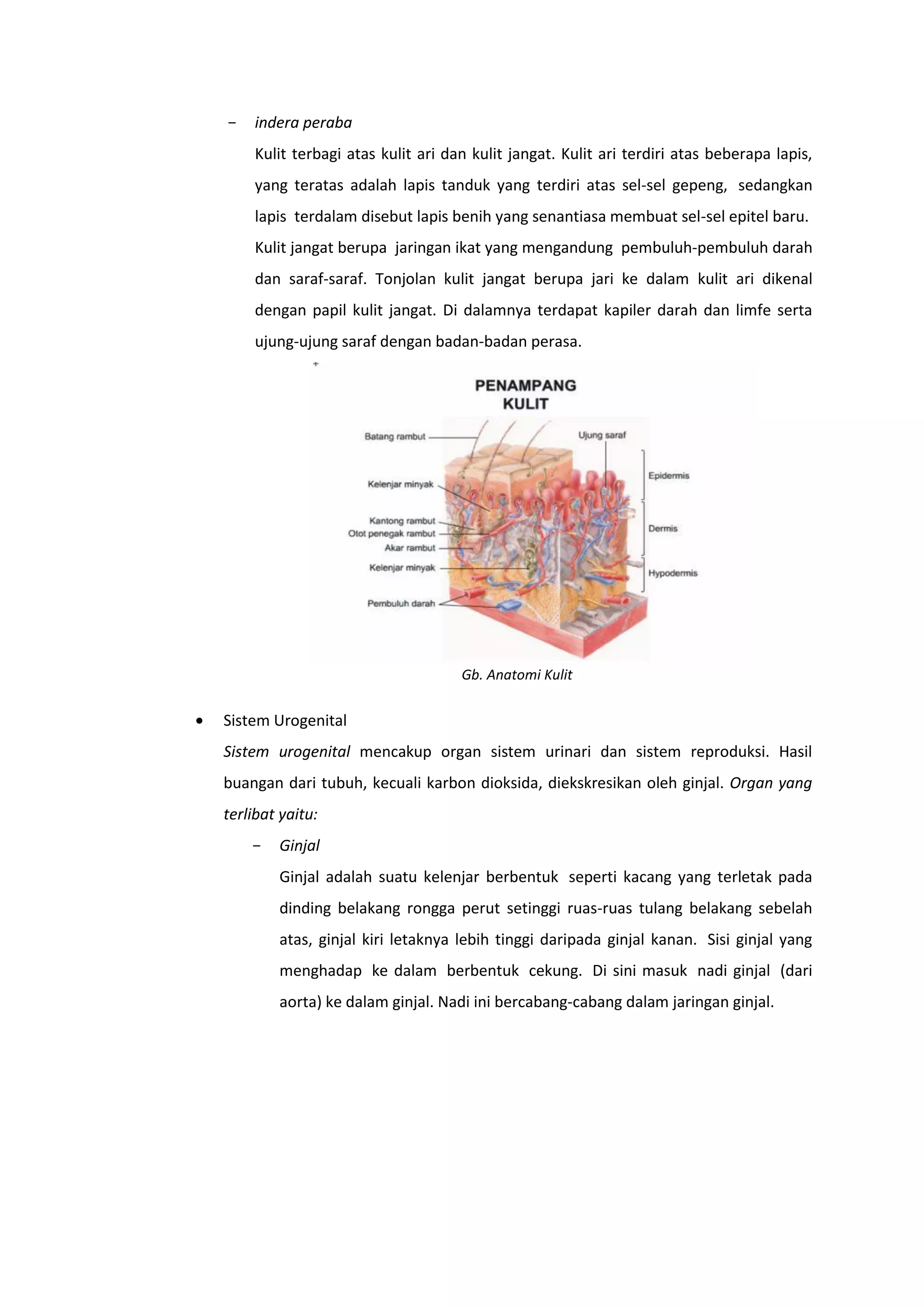 Makalah anatomi-fisiologi | PDF