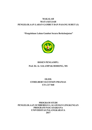 Pengelolaan Gambut Secara Berkelanjutan | PDF