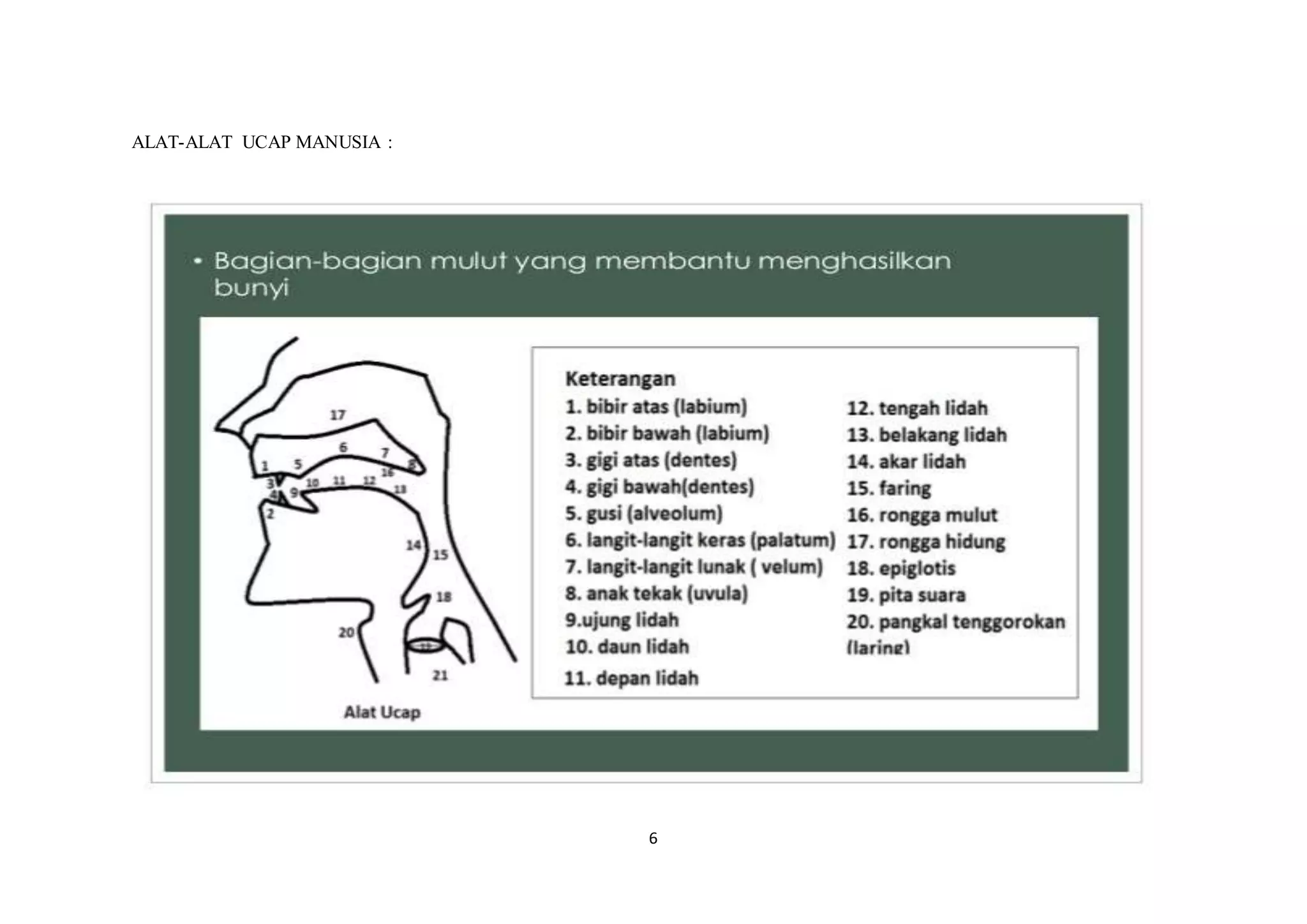 Makalah Fonologi Fonetik dan Fonemik | DOCX