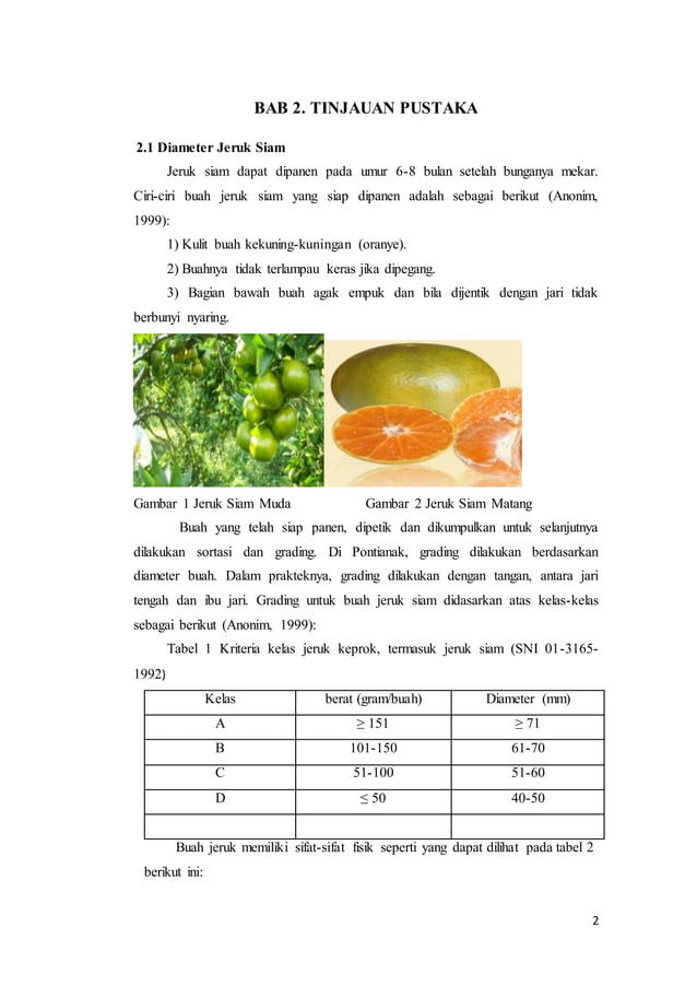 Makalah aplikasi integral dalam menghitung volume keranjang buah jeruk | DOCX