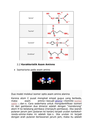 Makalah asam amino | DOCX