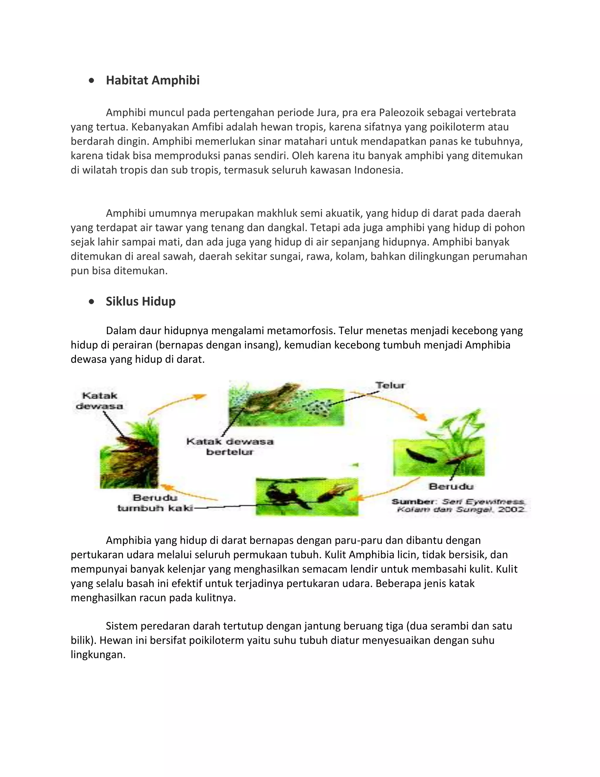 Makalah Biologi - Amphibia | DOCX