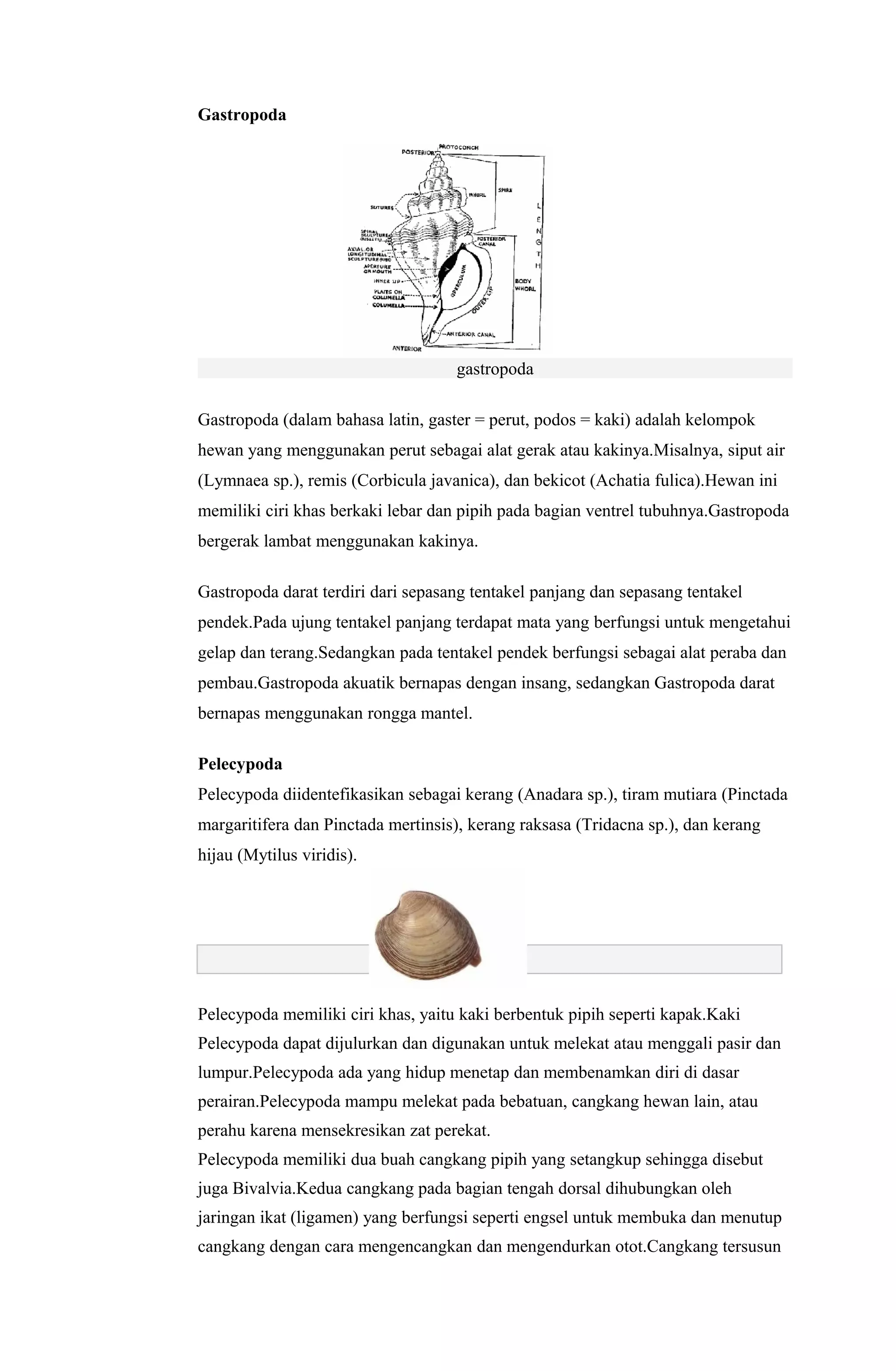 Makalah biologi (coelenterata dan mollusca) | DOC