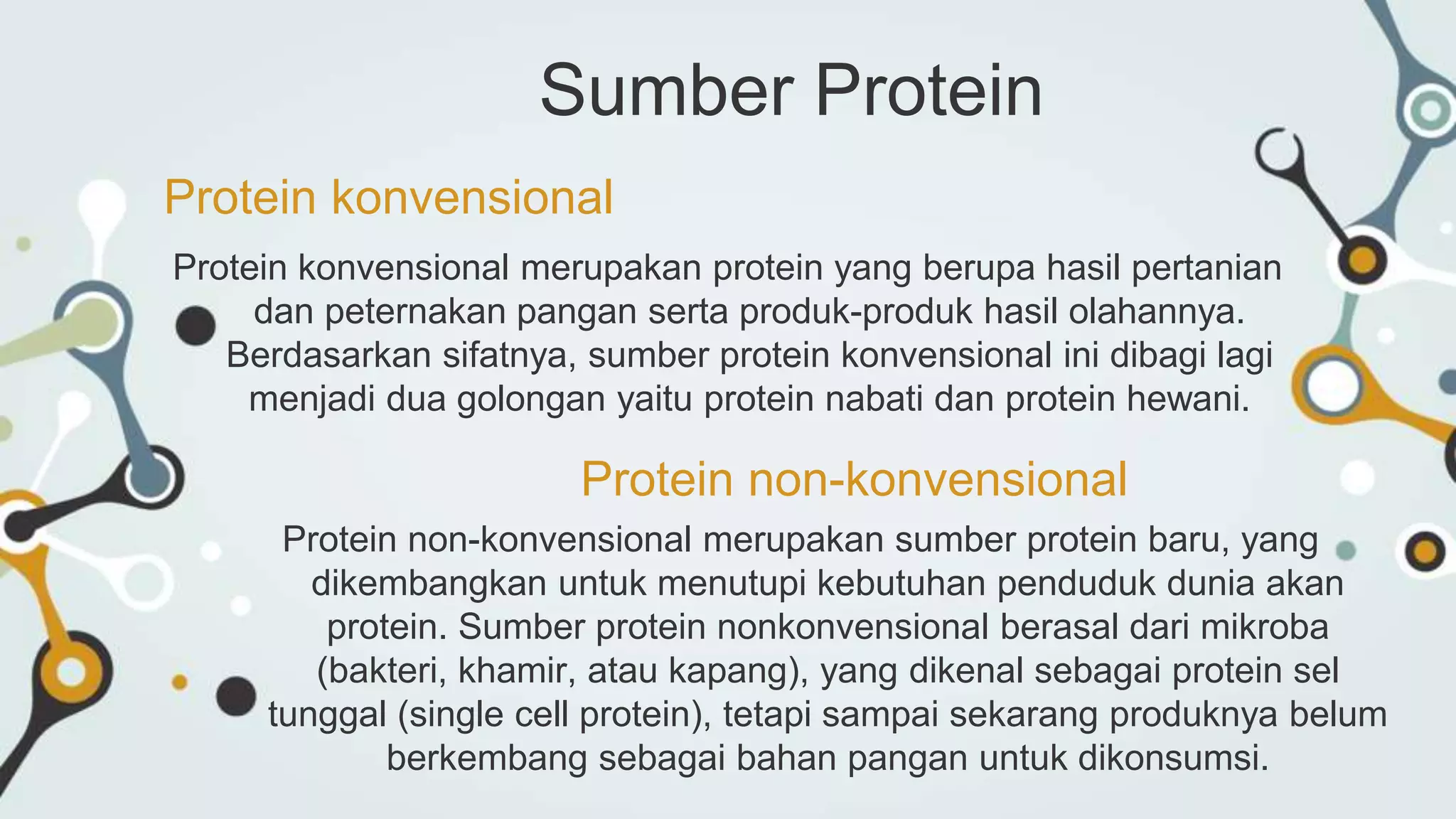Makalah Biologi Sel 3. Struktur, Fungsi, Sintesis Protein Kelas 1K ...
