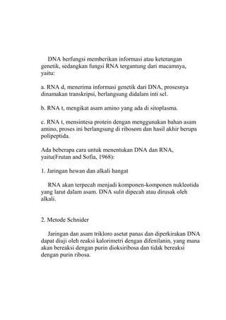 Makalah dna dan protein | DOCX