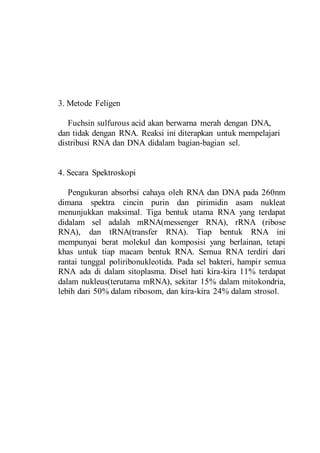 Makalah dna dan protein | DOCX