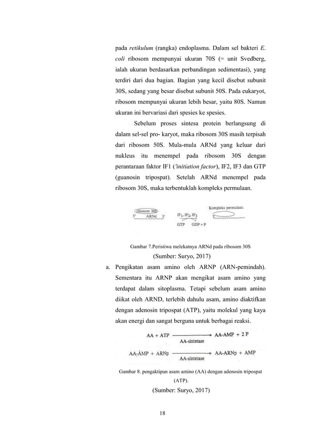 MAKALAH EKSPRESI GEN KEL 3 (5F).doc