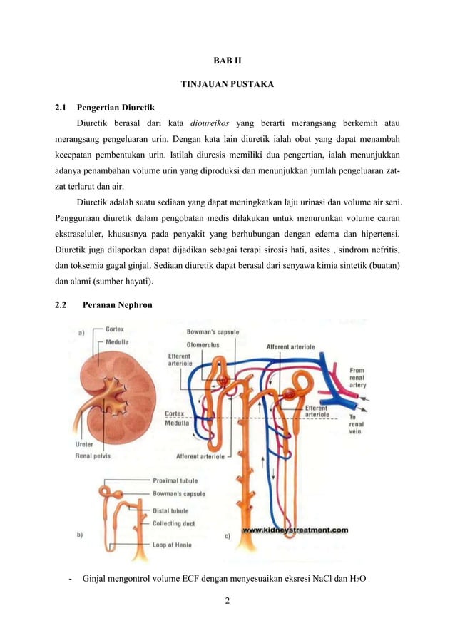 farmakologi Diuretik | DOCX