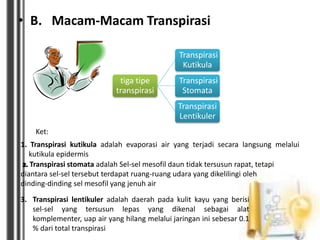 fisiologi tumbuhan | PPTX