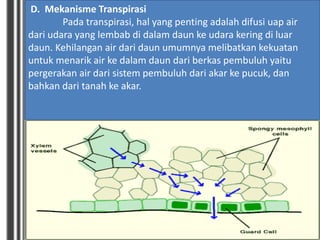 fisiologi tumbuhan | PPTX