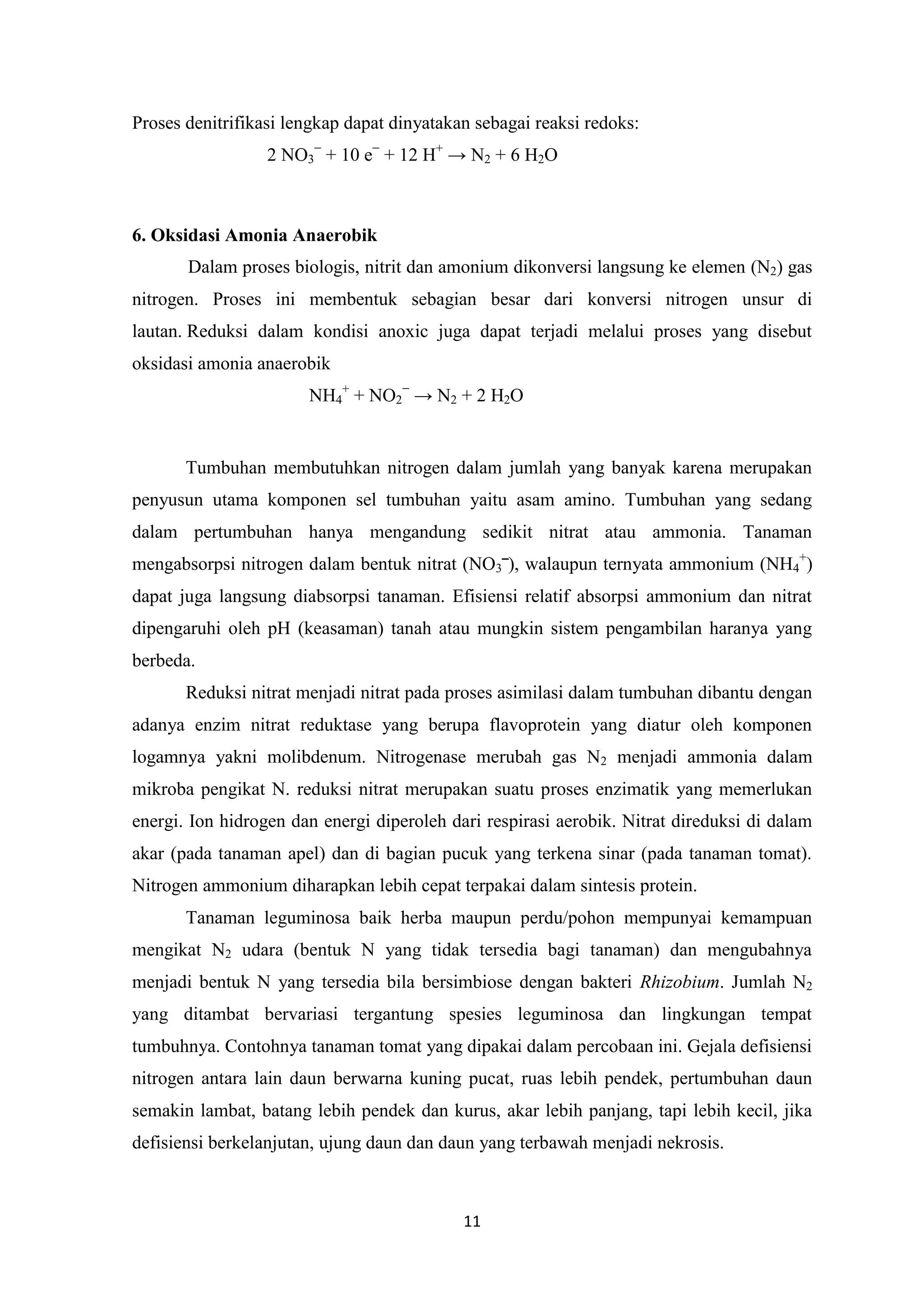 Makalah fistum nitrogen | DOCX